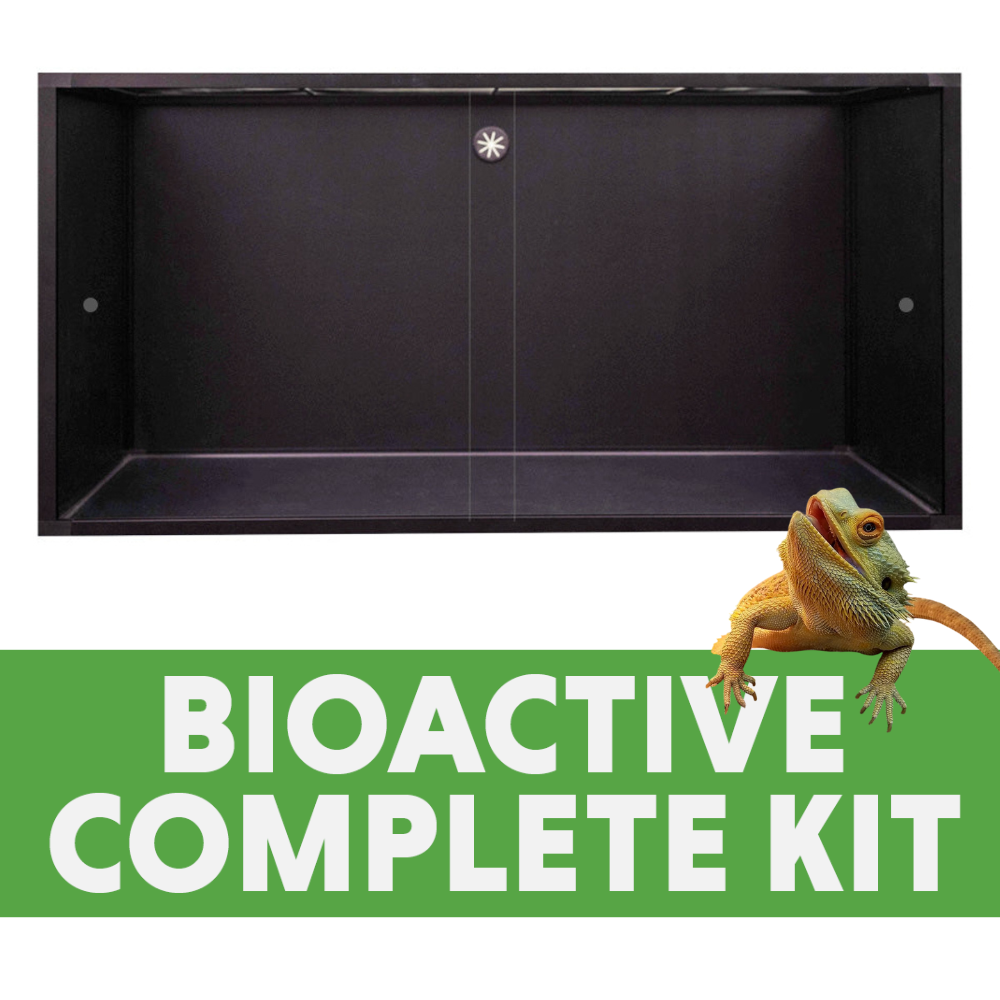 Zen Habitats 3.0 Bearded Dragon Bioactive Complete Kit (4'x2'x2')