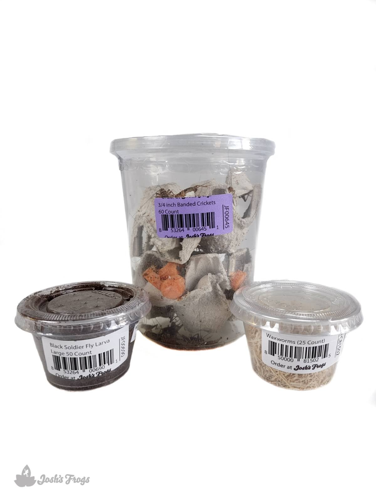 Josh's Frogs Large/Adult Tree Frog Feeder Bundle